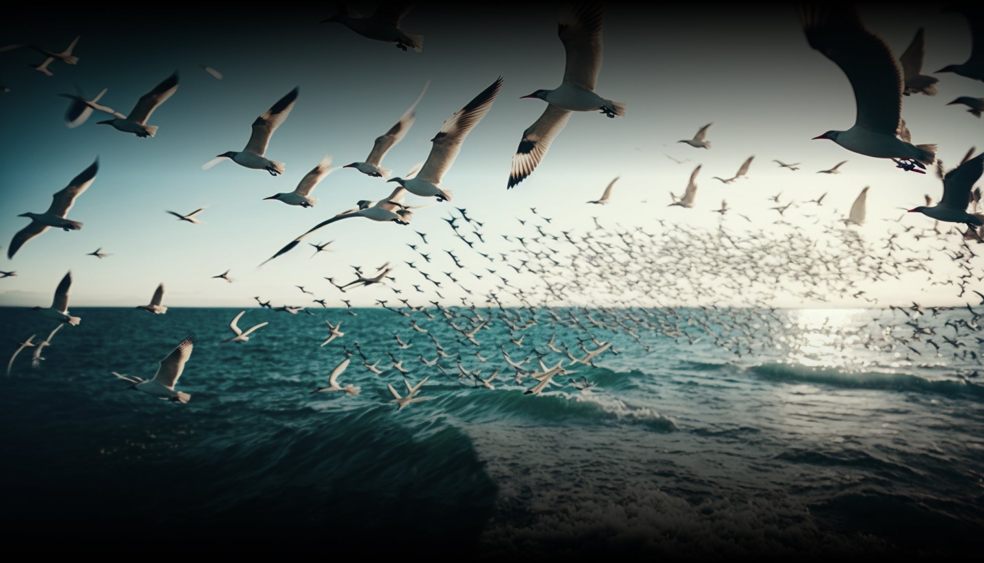 technology – WorldWideWind